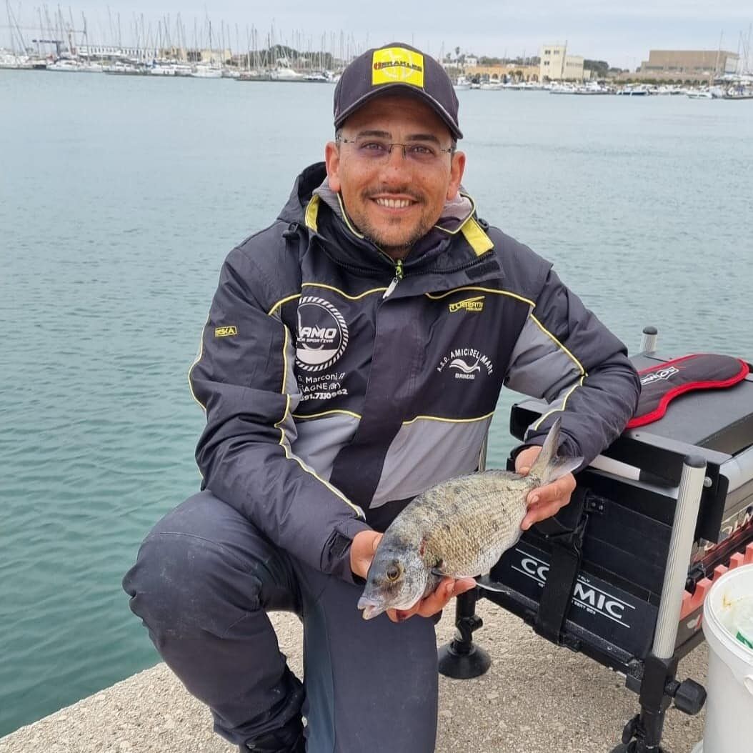 Il sarago brindisino, famoso già ai tempi dei Romani - Senza Colonne ...