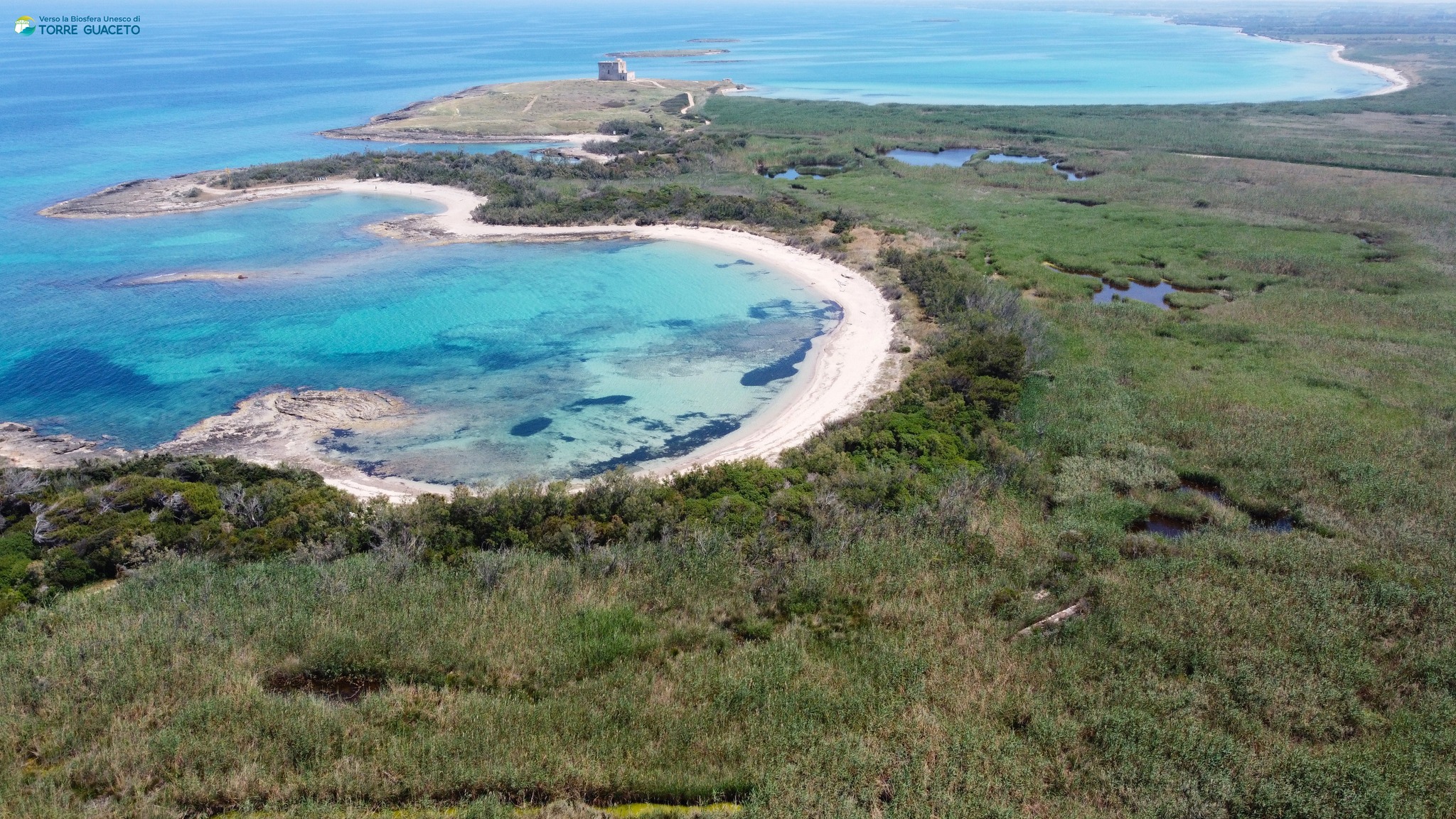 Torre Guaceto: al via gli incontri con le comunità per la candidatura a ...