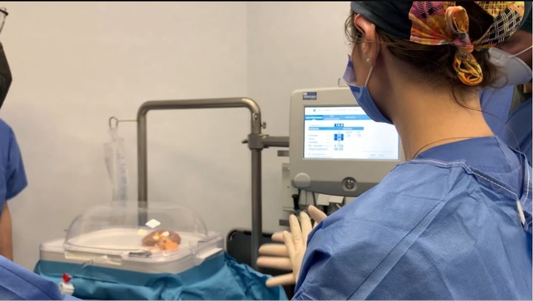 Policlinico di Bari: in futuro anche trapianti di polmone e pancreas ...